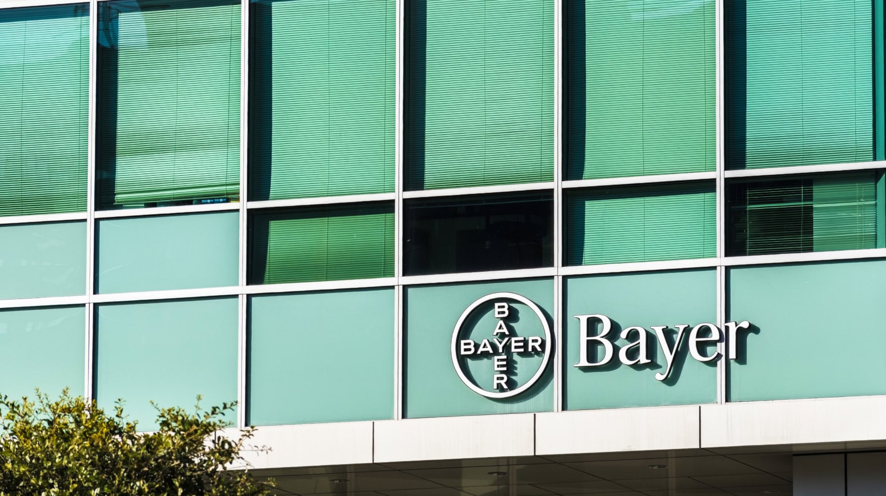 Bayer подписал контракт с WSW — Fertilizer Daily